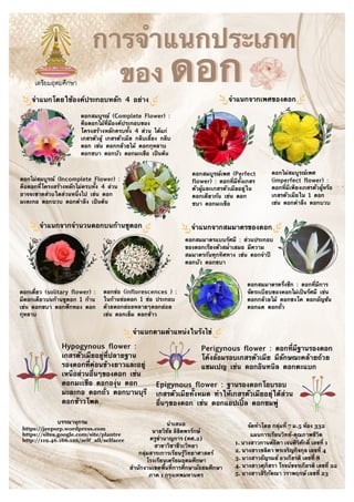 Classification of flowers poster | PDF