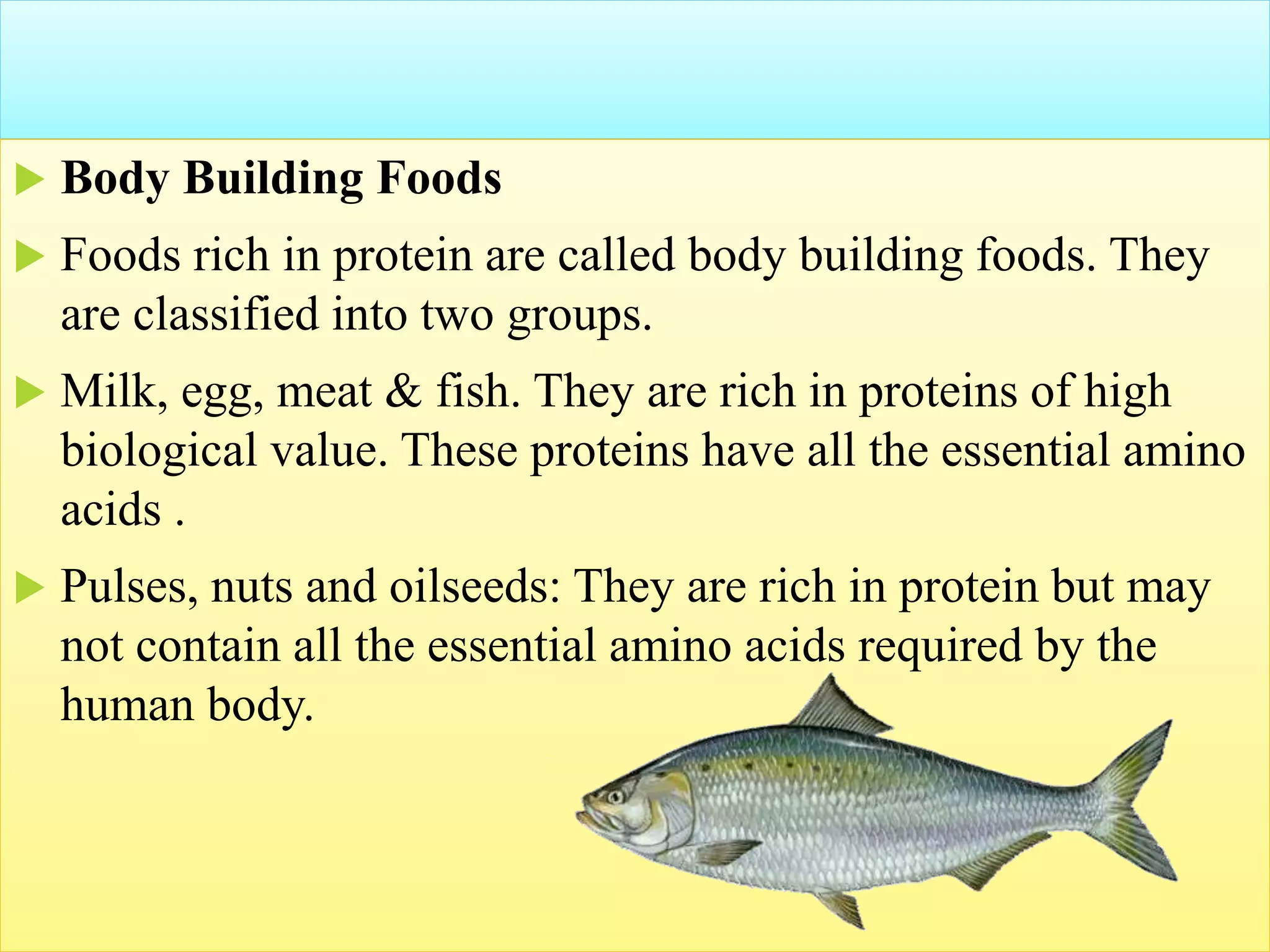Classification of food | PPTX