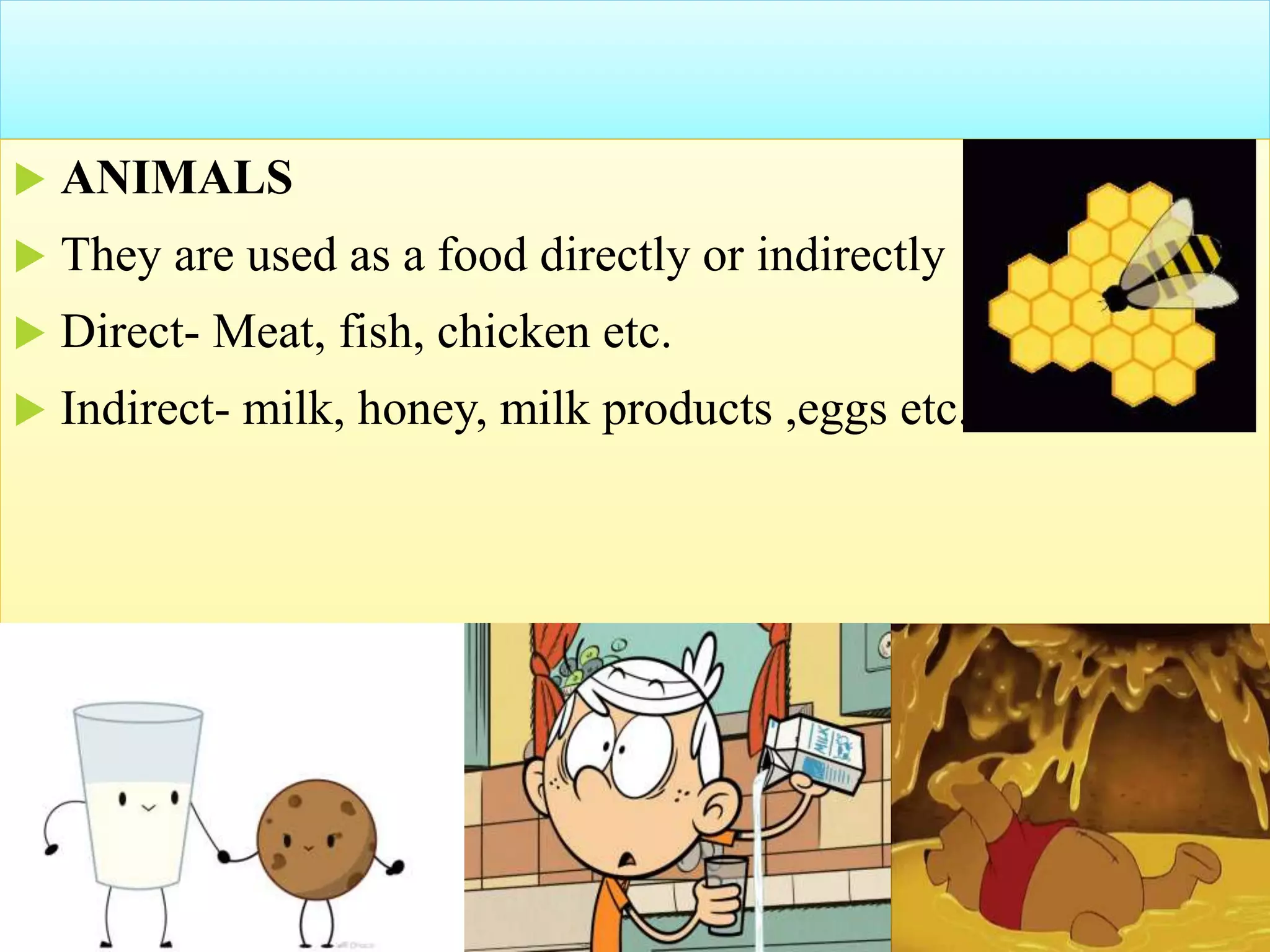 Classification of food | PPTX