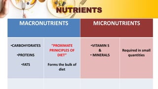 Classification of food | PPTX