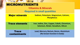 Classification of food | PPTX