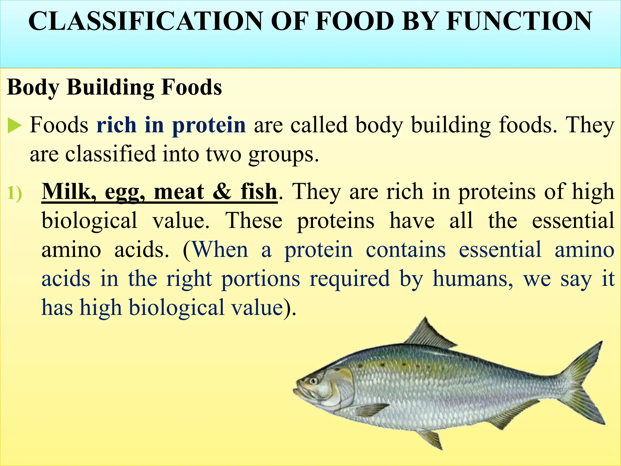 classification of food and its types .pptx