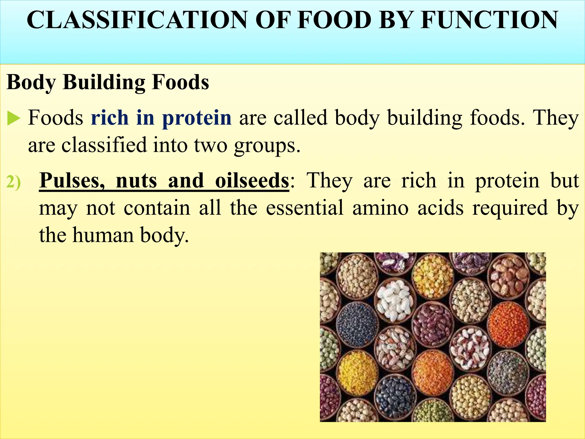 classification of food and its types .pptx