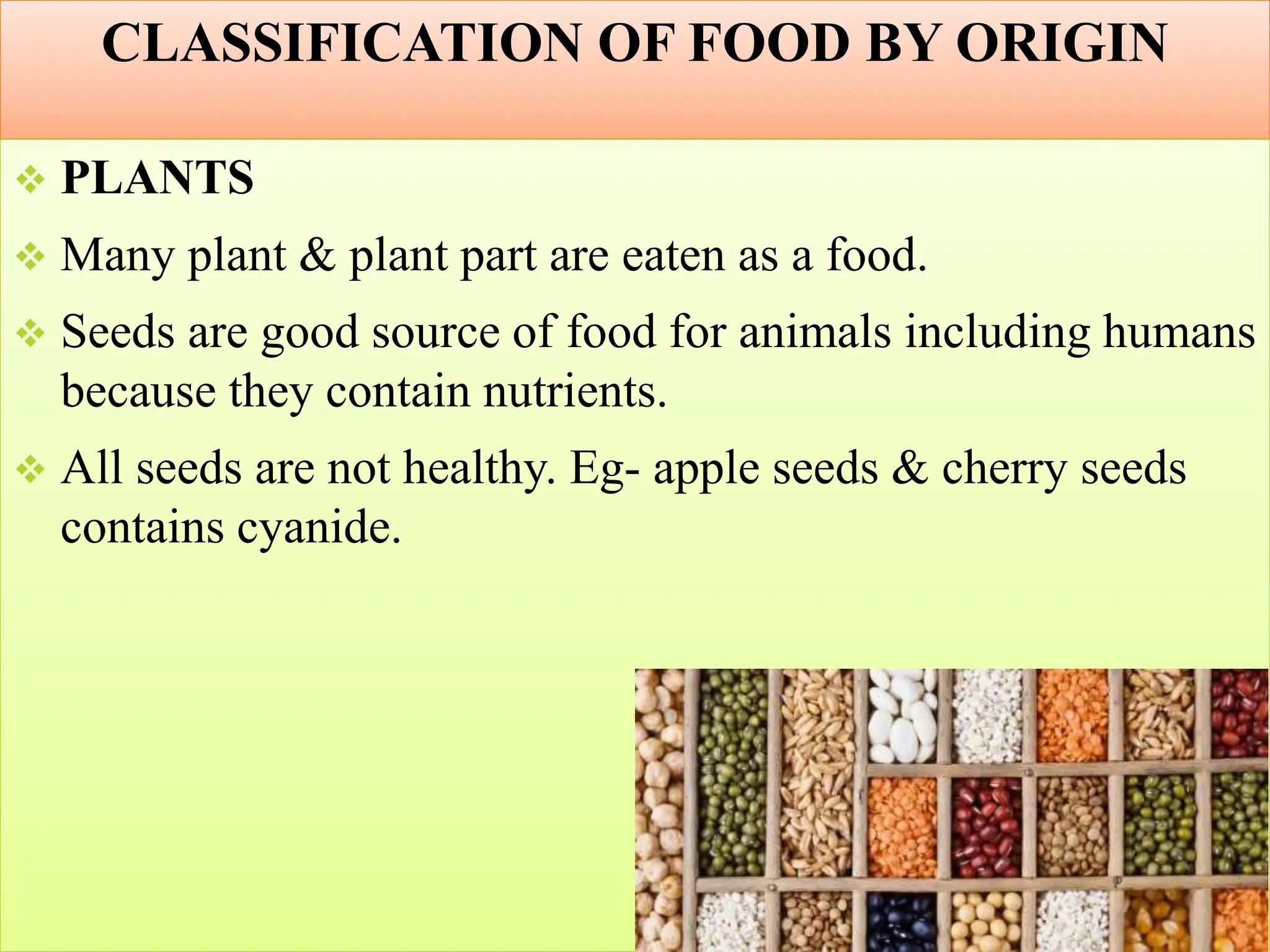 classification of food and its types .pptx