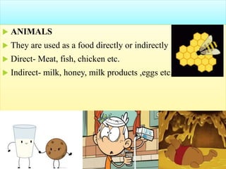 classification of food and its types .pptx