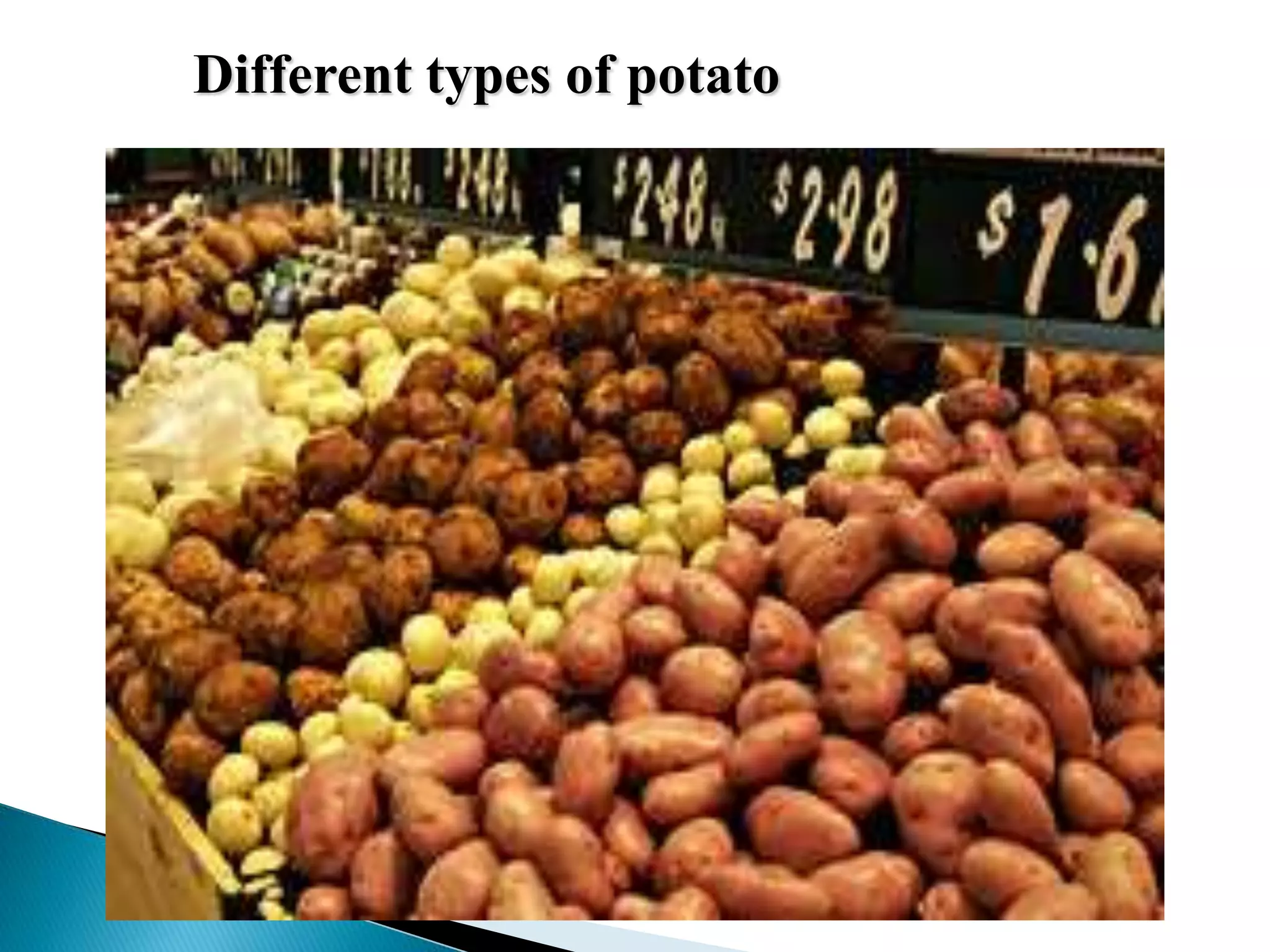 classification ofFood and food composition.ppt