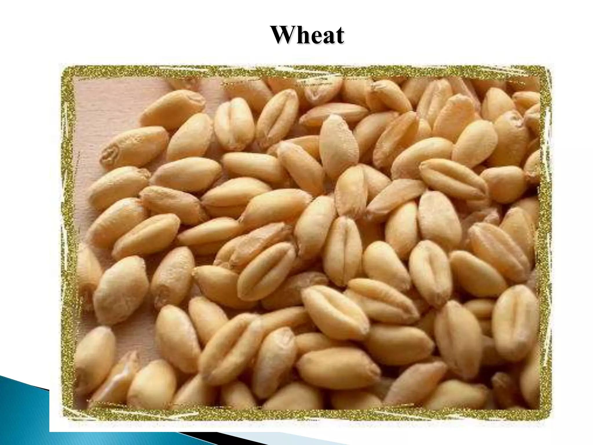 classification ofFood and food composition.ppt