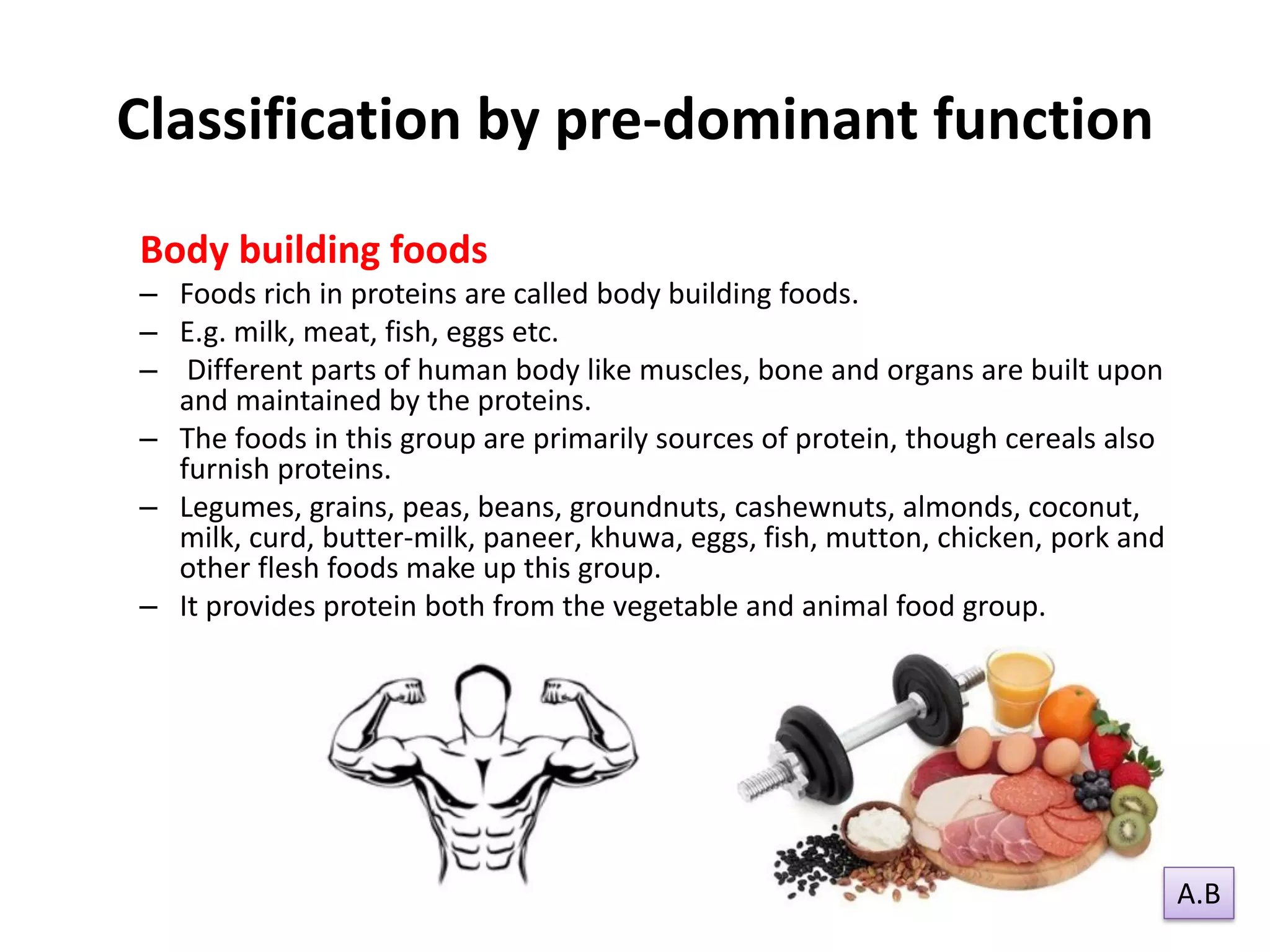Classification of foods | PDF
