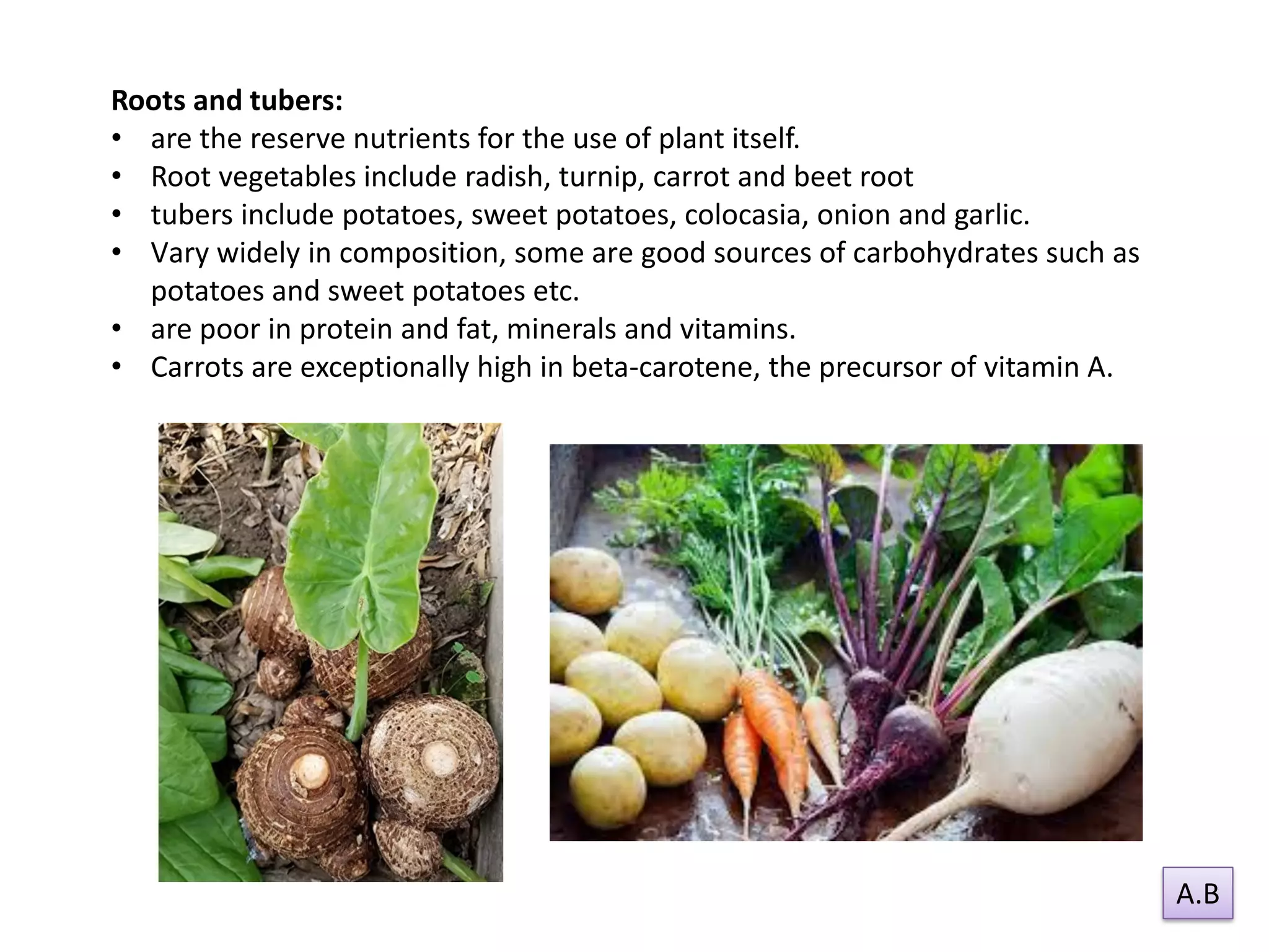 Classification of foods | PDF
