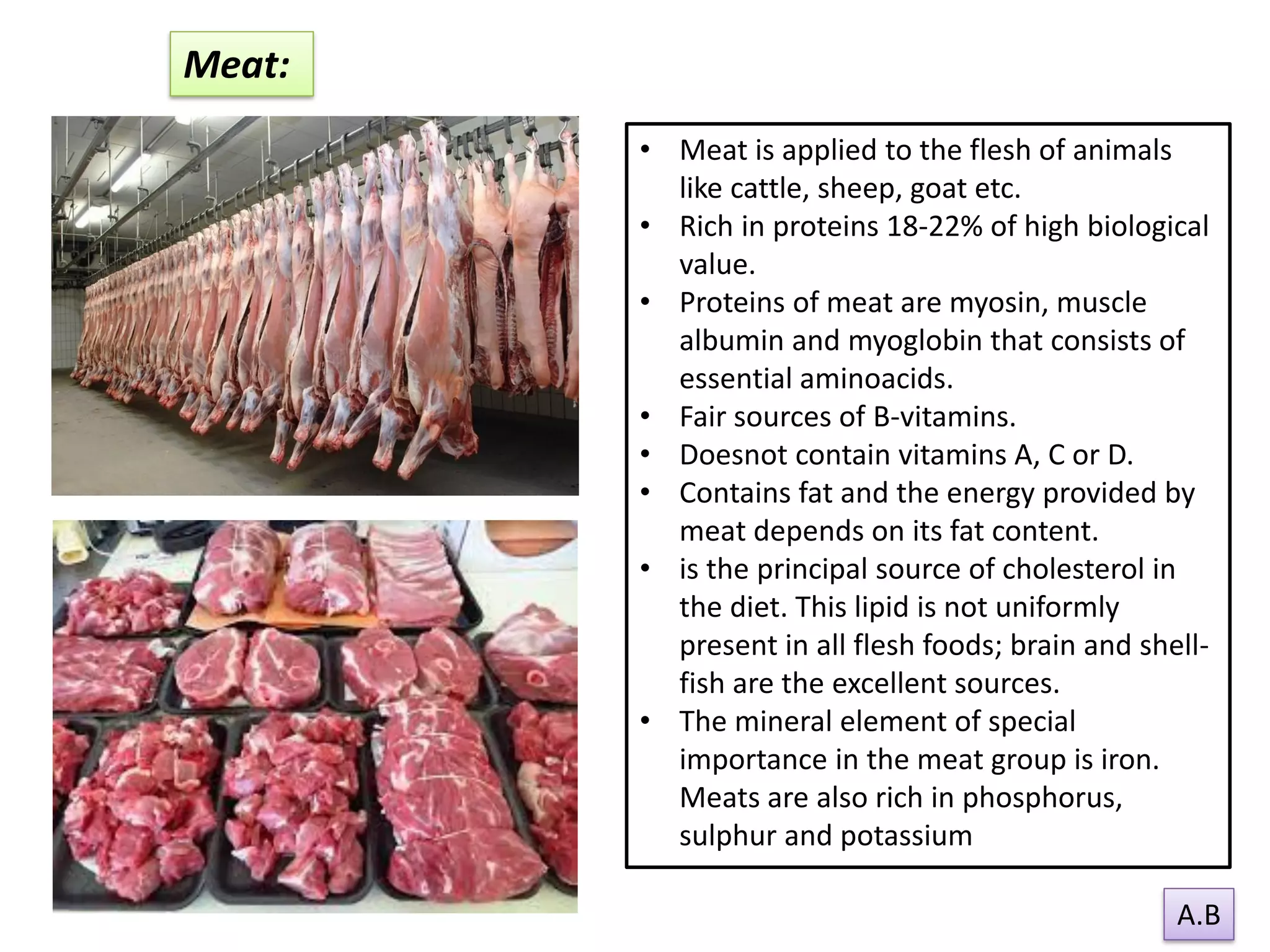 Classification of foods | PDF