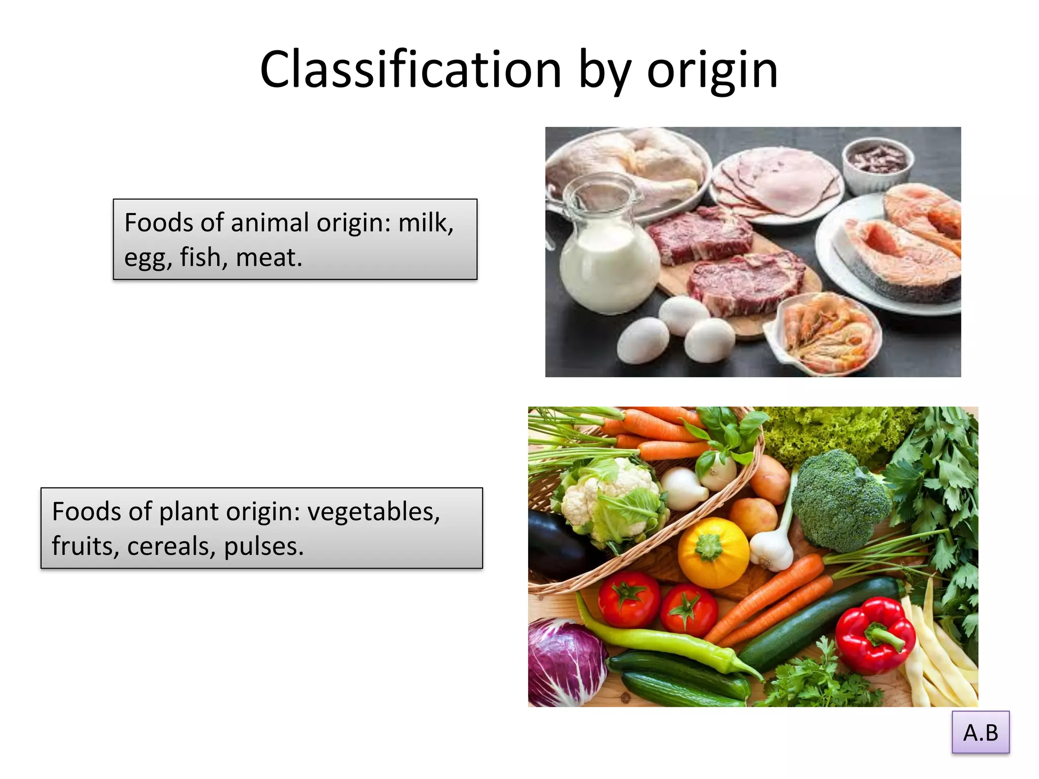 Classification of foods | PDF