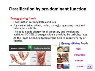 Classification of foods | PDF