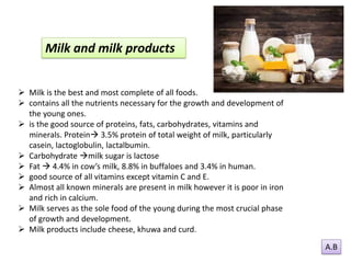 Classification of foods | PDF