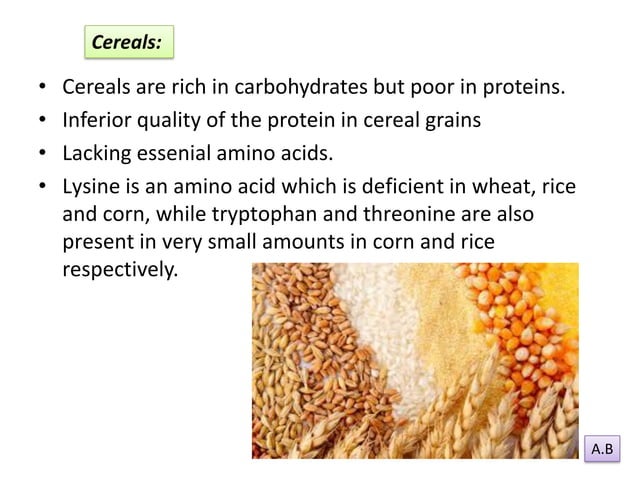 Classification of foods | PPT