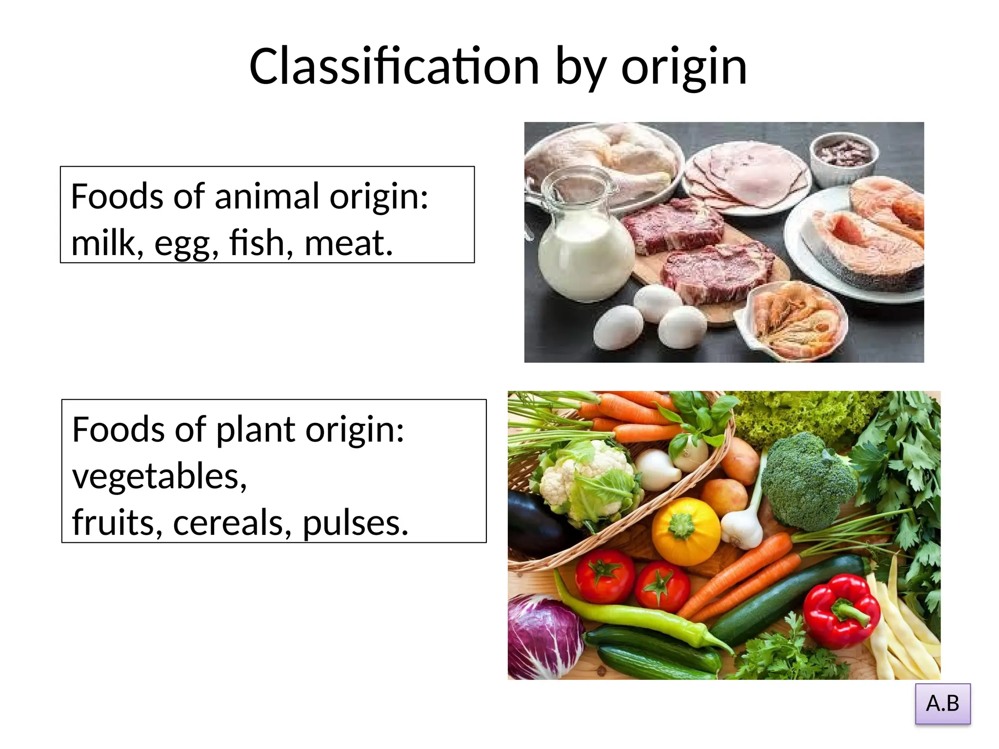 classification of foods in home economics | PPT