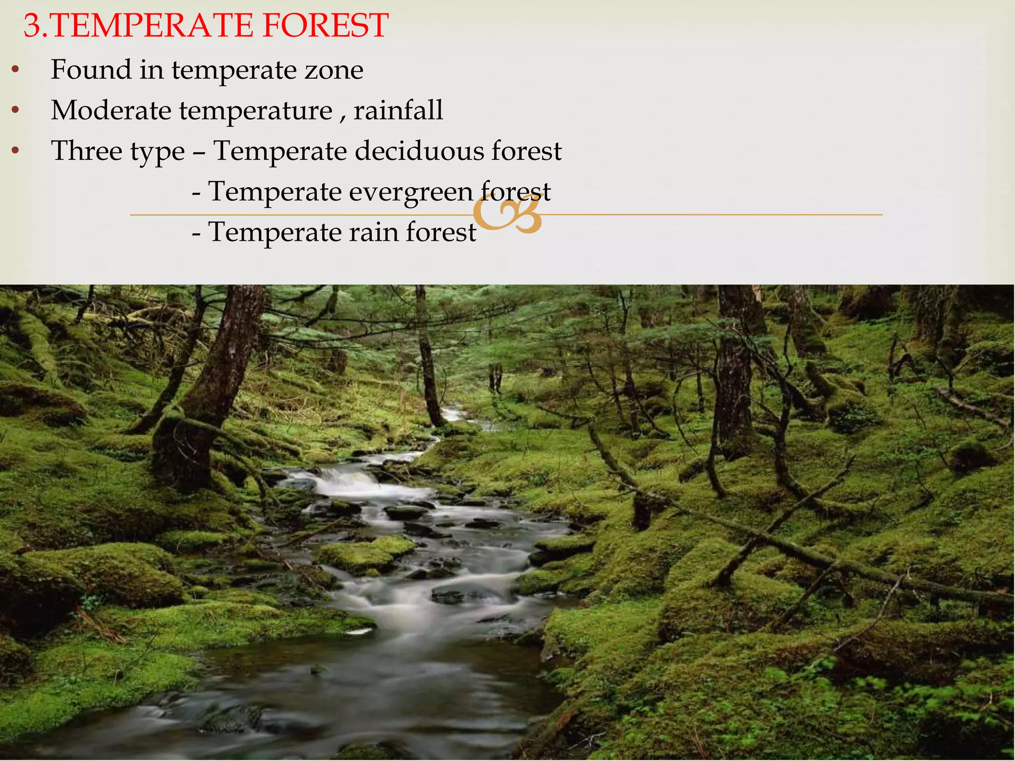 CLASSIFICATION OF FOREST | PPTX