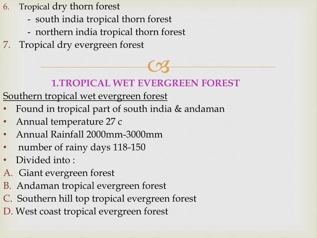 CLASSIFICATION OF FOREST | PPTX | Weather | Science