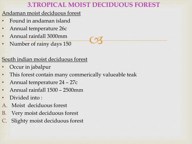 CLASSIFICATION OF FOREST | PPTX | Weather | Science