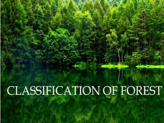 CLASSIFICATION OF FOREST | PPTX