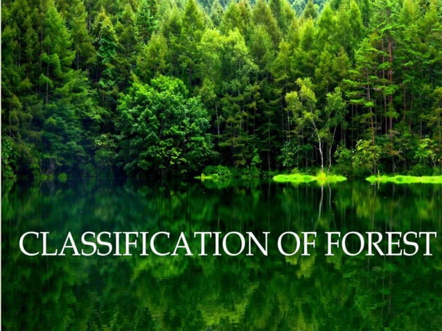 CLASSIFICATION OF FOREST | PPTX | Weather | Science