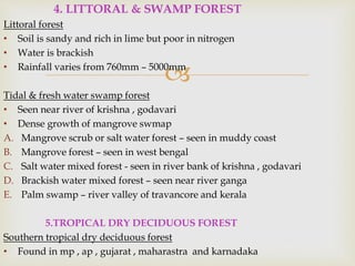 CLASSIFICATION OF FOREST | PPTX