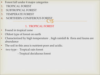 CLASSIFICATION OF FOREST | PPTX