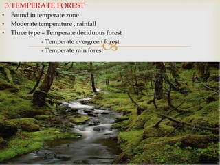 CLASSIFICATION OF FOREST | PPTX