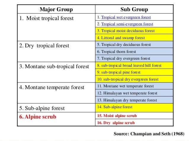 Classification Of Forest
