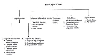 Classification of Forest.pptx
