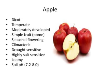 Pomes Fruit Classification