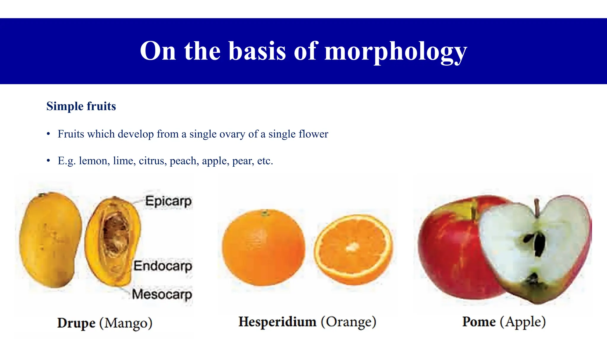 Classification of tropical, Subtropical and Temperate Fruits.pdf