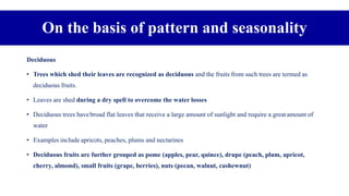 Classification of tropical, Subtropical and Temperate Fruits.pdf