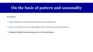 Classification of tropical, Subtropical and Temperate Fruits.pdf