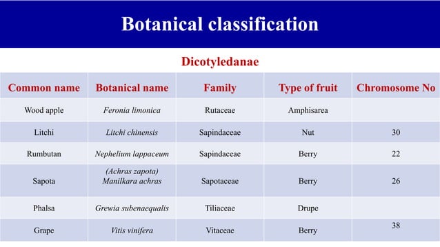 Classification of tropical, Subtropical and Temperate Fruits.pdf