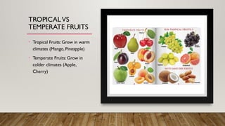Classification of Fruits in Horticulture planting.pptx