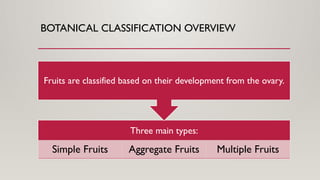 Classification of Fruits in Horticulture planting.pptx