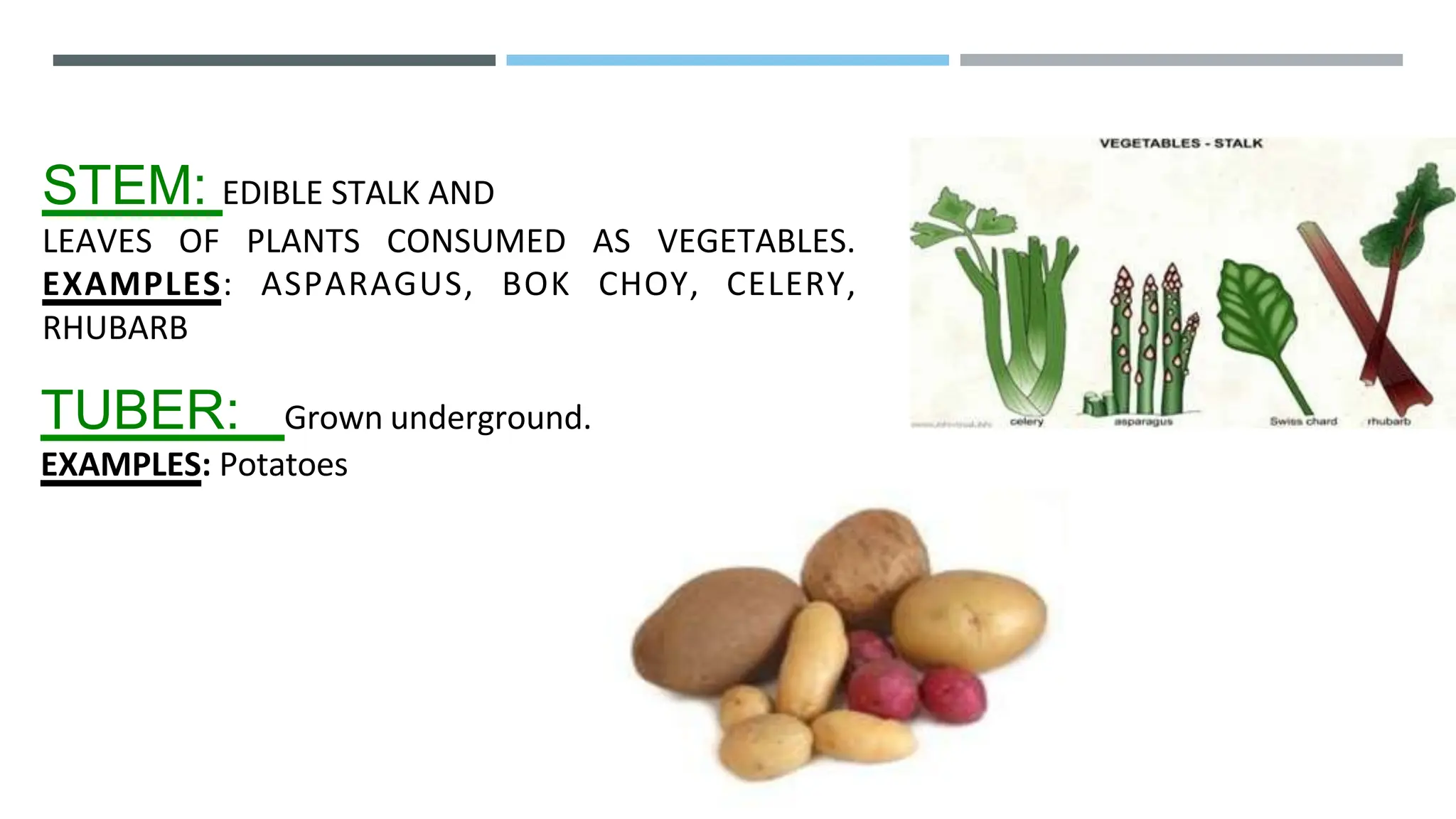 Edible Stem Example