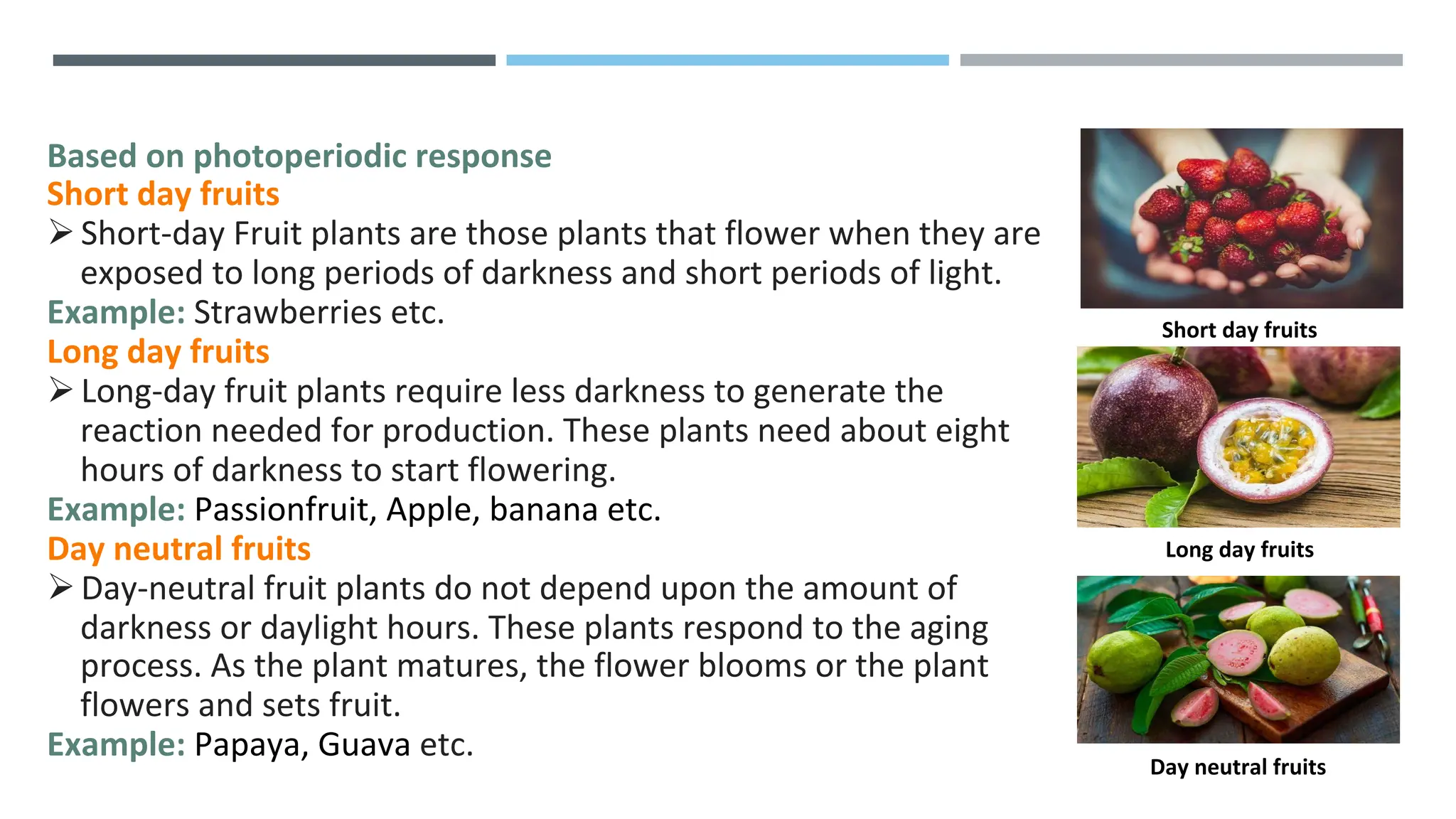 Classification of Fruits and Vegetables....pdf