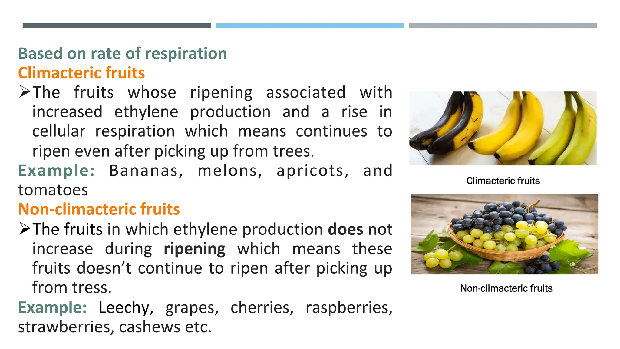 Classification of Fruits and Vegetables....pdf
