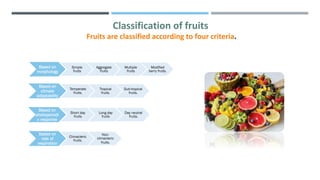 Classification of Fruits and Vegetables....pdf