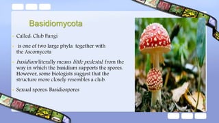 Classification of fungi | PPTX