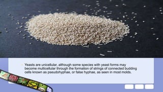 Classification of fungi | PPTX