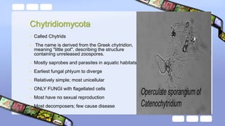 Classification of fungi | PPTX