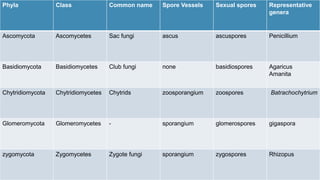 Classification of fungi | PPTX