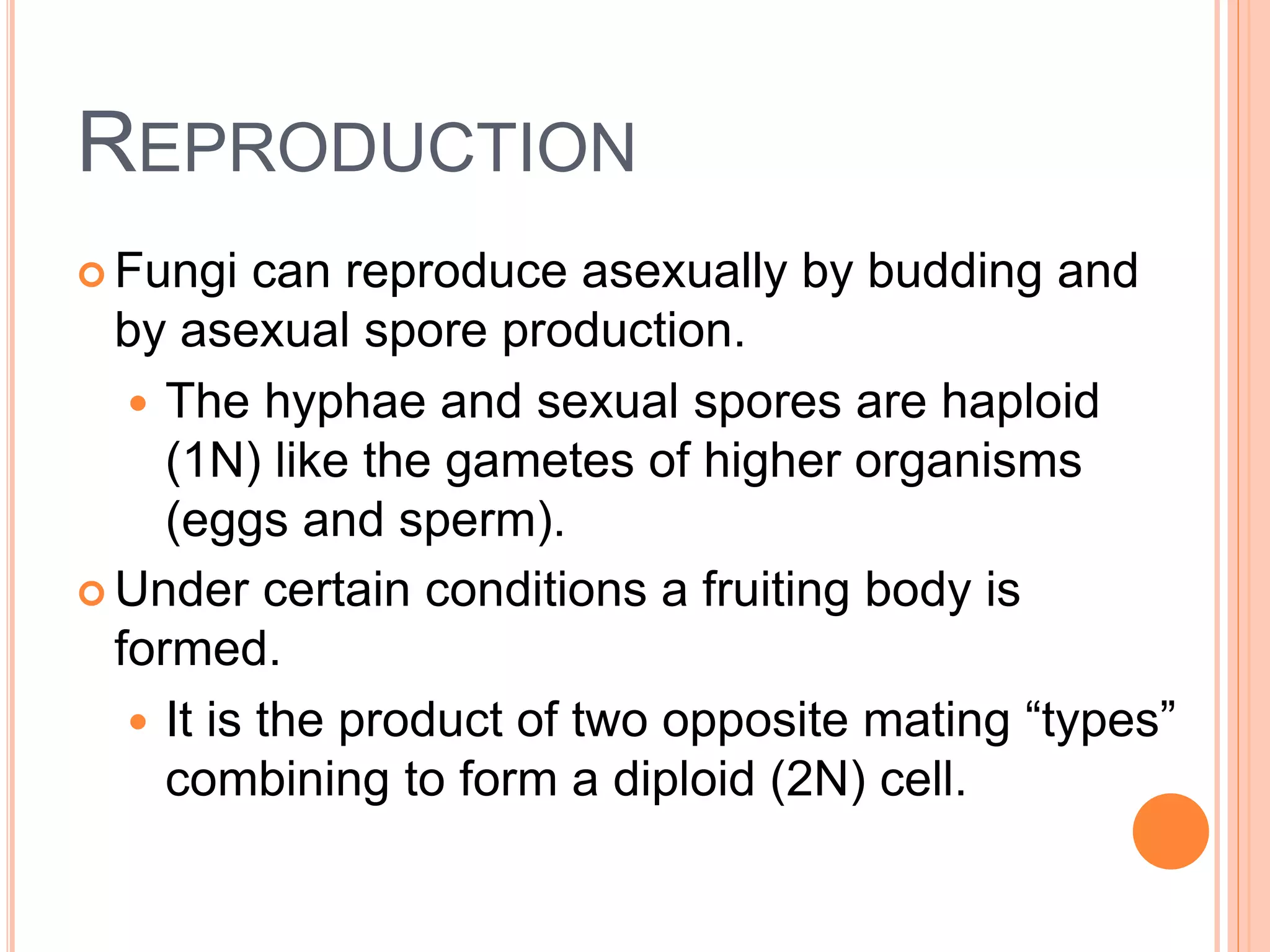 Classification of fungi | PPTX