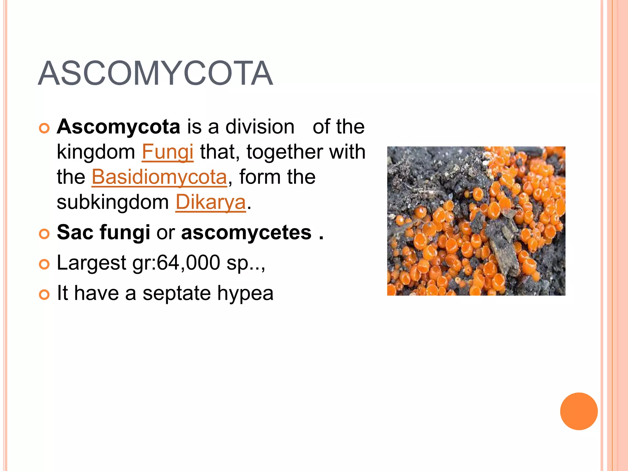 Classification of fungi | PPTX
