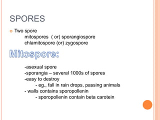 Classification of fungi | PPTX