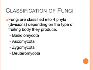 Classification of fungi | PPTX