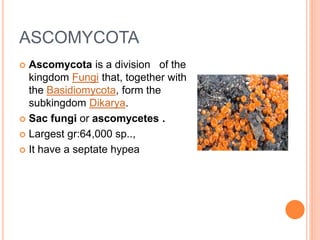 Classification of fungi | PPTX