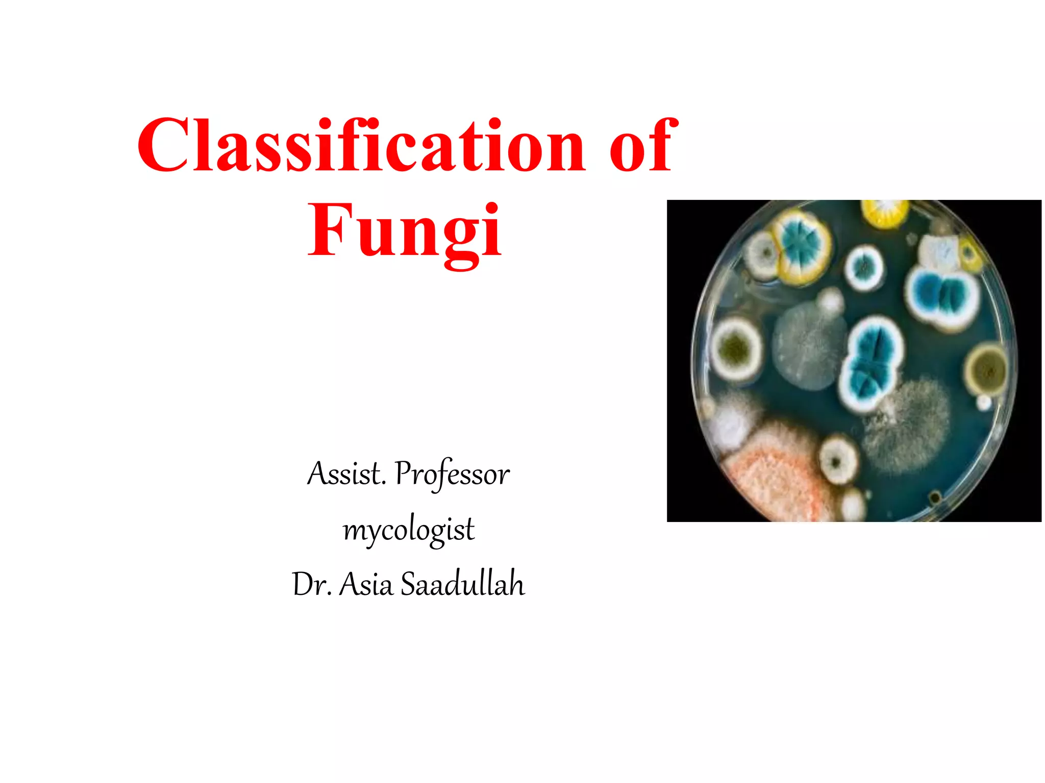 Classification of fungi | PPT